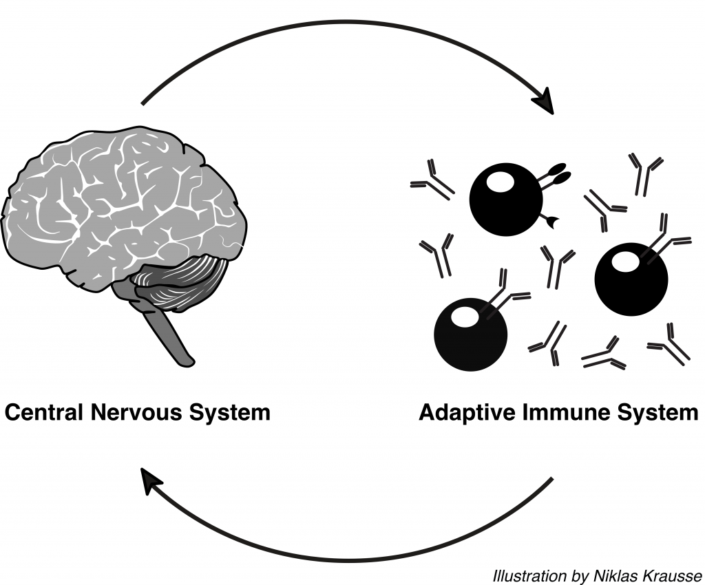 Everything is connected: Neuroimmunology – Science as We Know It